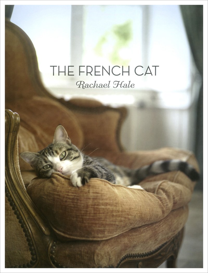 KITTIES! – Cannonball Read 18