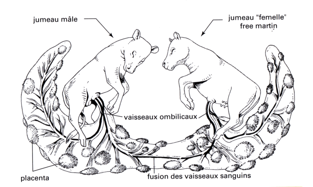 Heredity and its Tangles – Cannonball Read 18