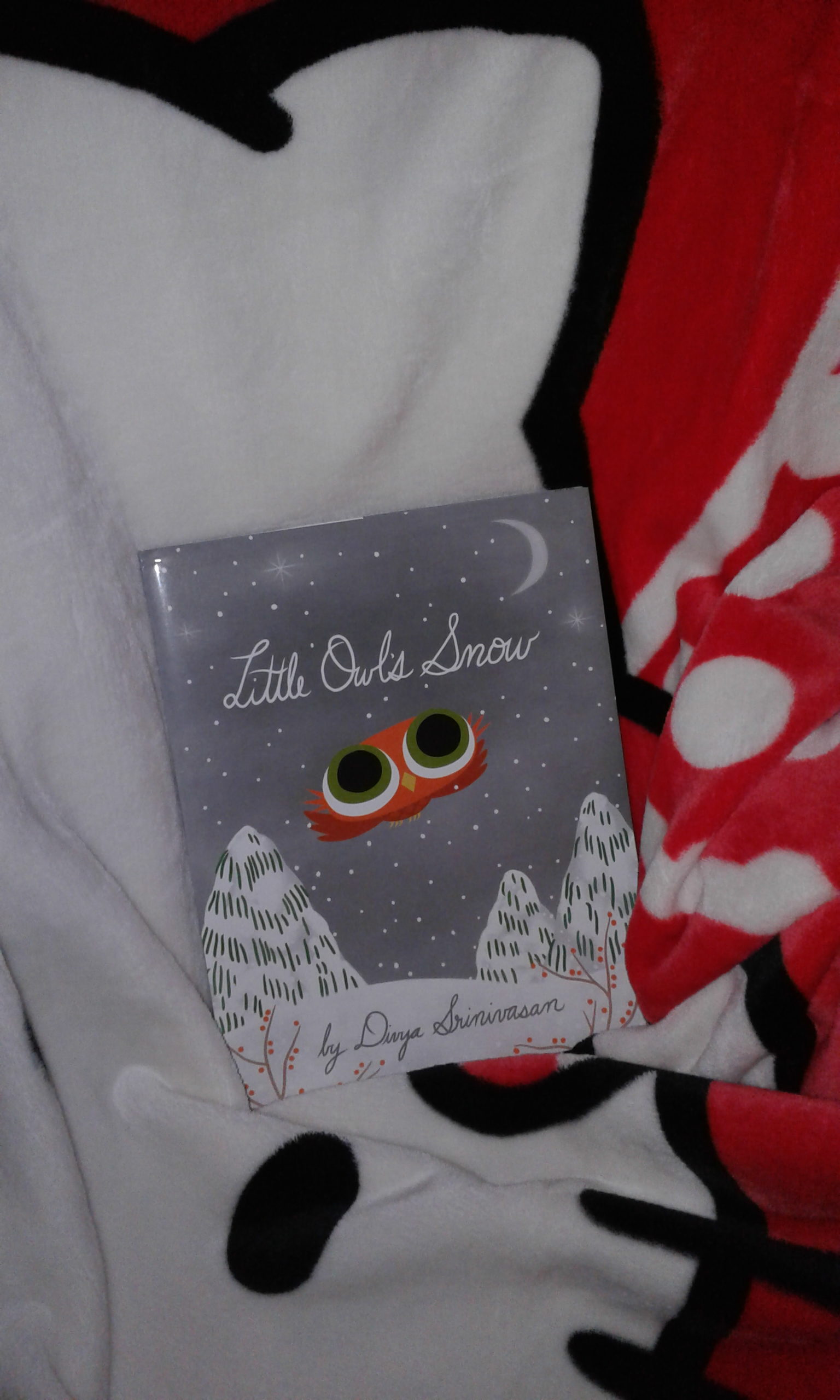 Little Owl’s Snow by Divya Srinivasan – BlackRaven Book Review ...