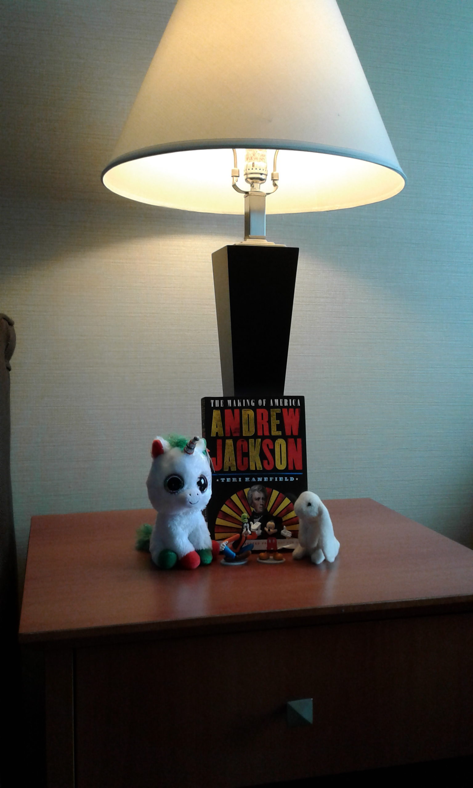 Andrew Jackson: The Making of America by Teri Kanefield – BlackRaven ...