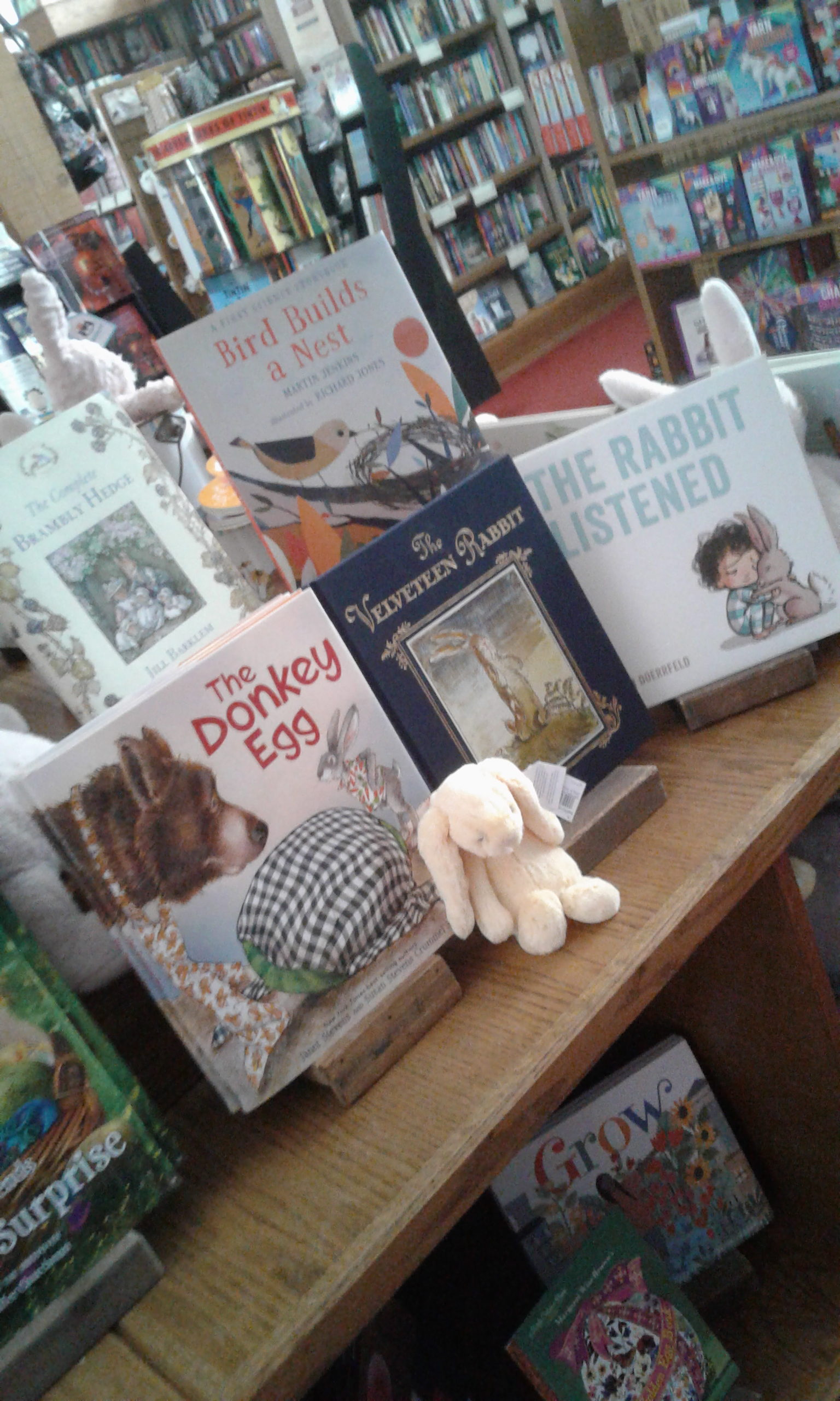 The Donkey Egg by Janet Stevens – BlackRaven Book Review – Cannonball ...