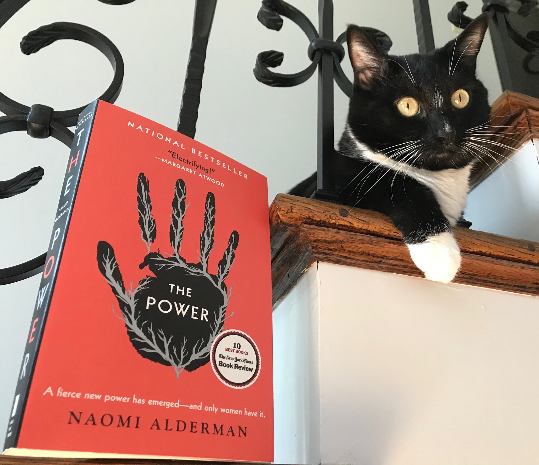 The Power by Naomi Alderman – Bothari43 Book Review – Cannonball Read 18