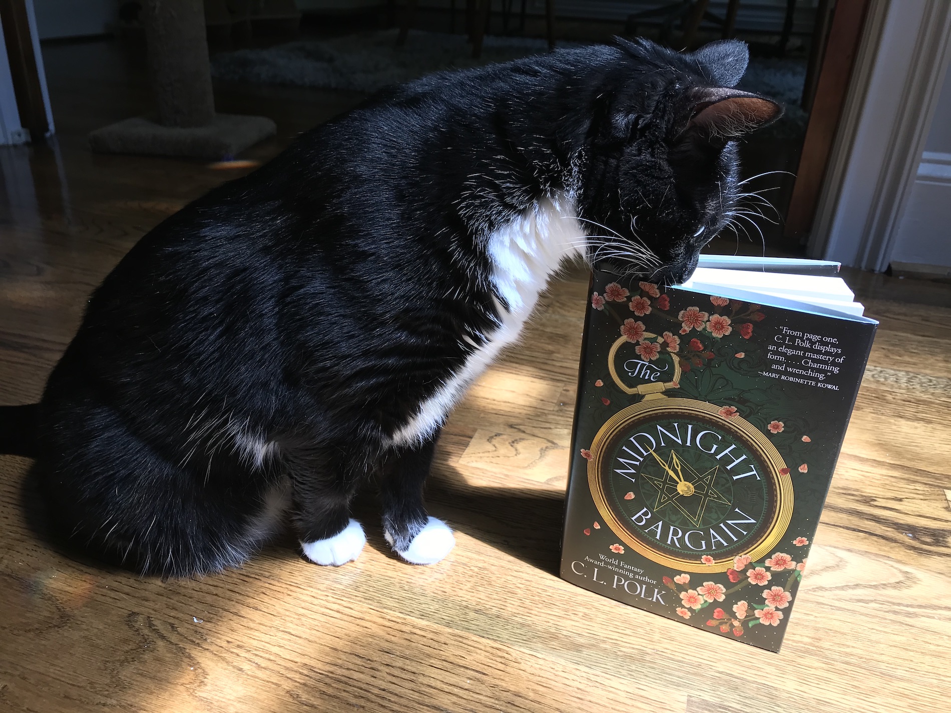The Midnight Bargain by C.L. Polk – Bothari43 Book Review – Cannonball ...