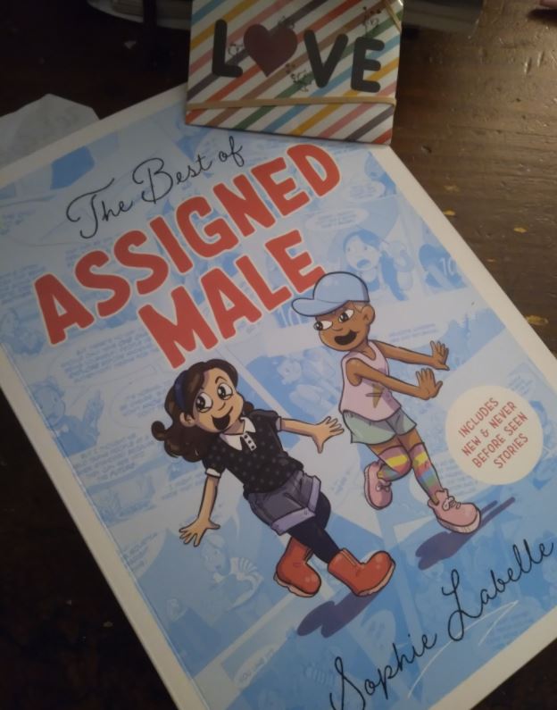 Gender Pirates: An Assigned Male Comics and The Best of Assigned Male ...