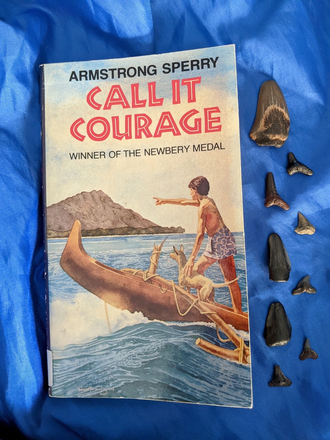 Call It Courage by Armstrong Sperry – Dome’Loki Book Review ...