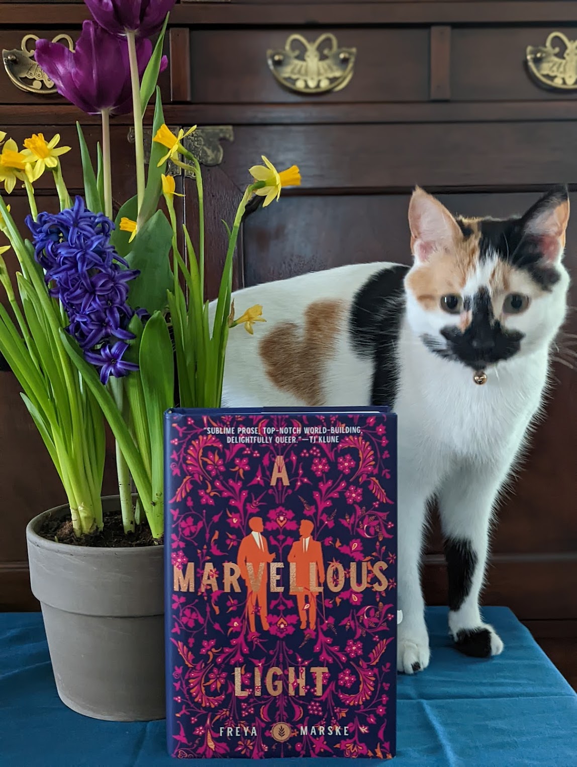 A Marvellous Light by Freya Marske – Dome’Loki Book Review – Cannonball ...
