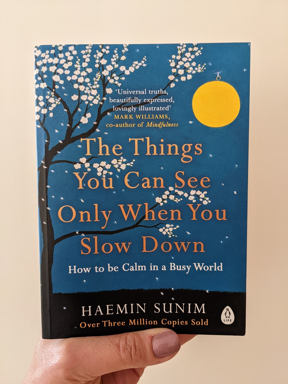 The Things You Can See Only When You Slow Down: How to be Calm in a ...