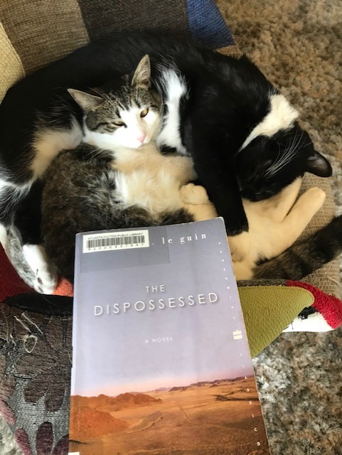 The Dispossessed by Ursula K. Le Guin – Bothari43 Book Review ...