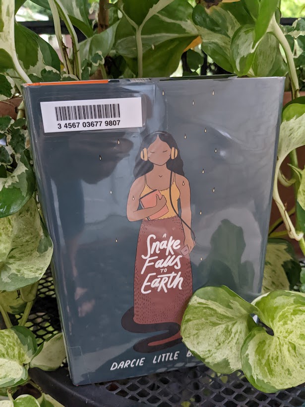 Snake Falls To Earth by Darcie Little Badger – Leedock Book Review ...