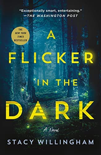 A Flicker in the Dark by Stacy Willingham – Jake Book Review ...