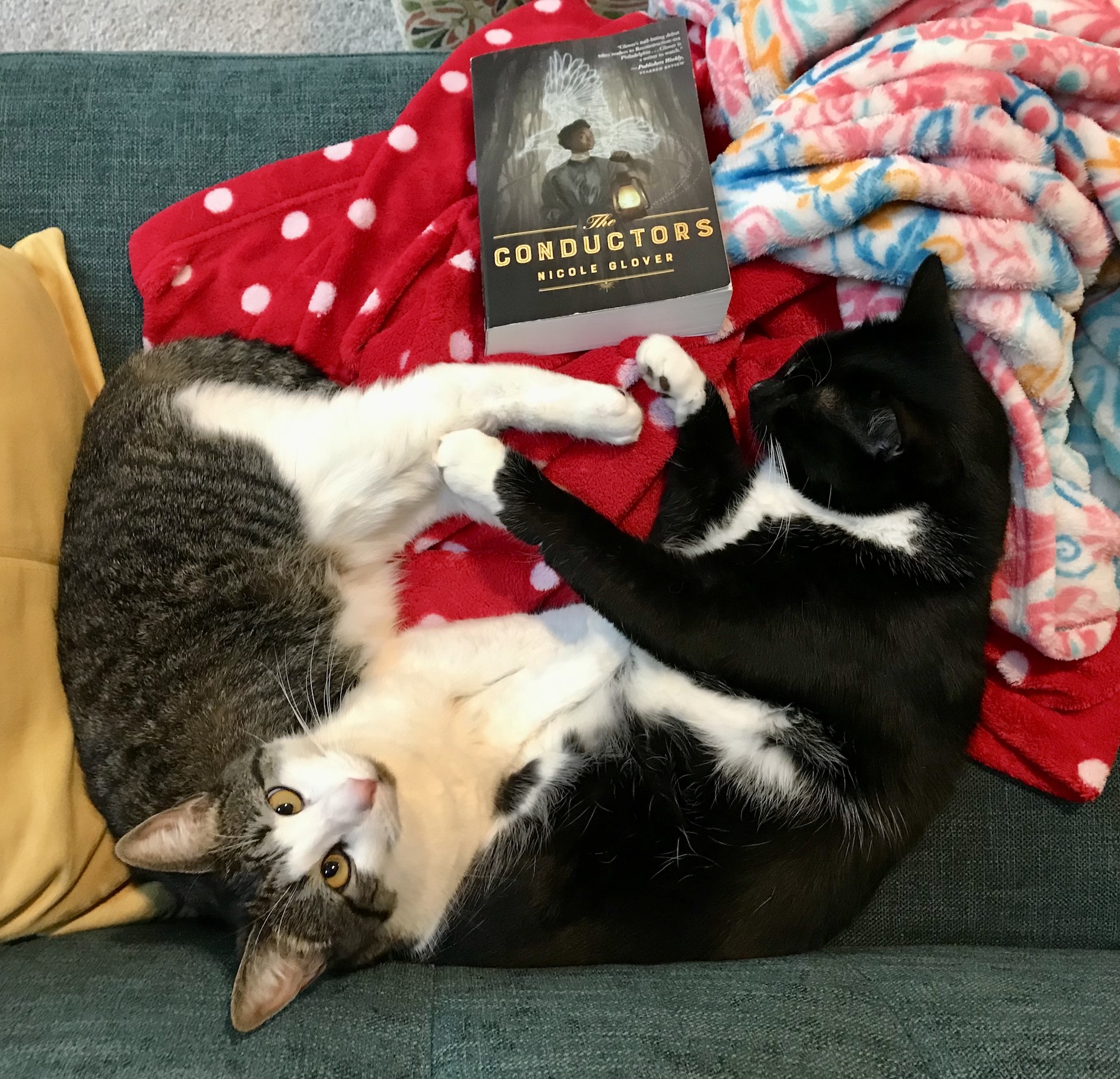 The Conductors by Nicole Glover – Bothari43 Book Review – Cannonball ...