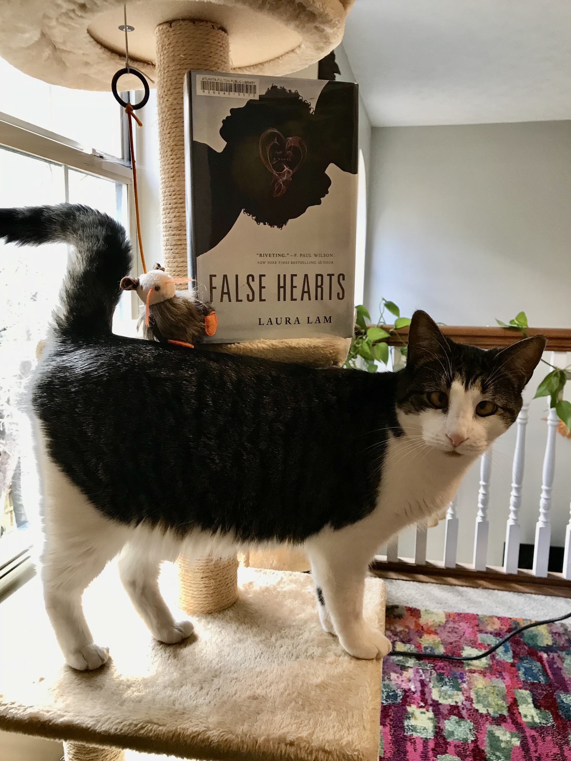False Hearts by Laura Lam – Bothari43 Book Review – Cannonball Read 18