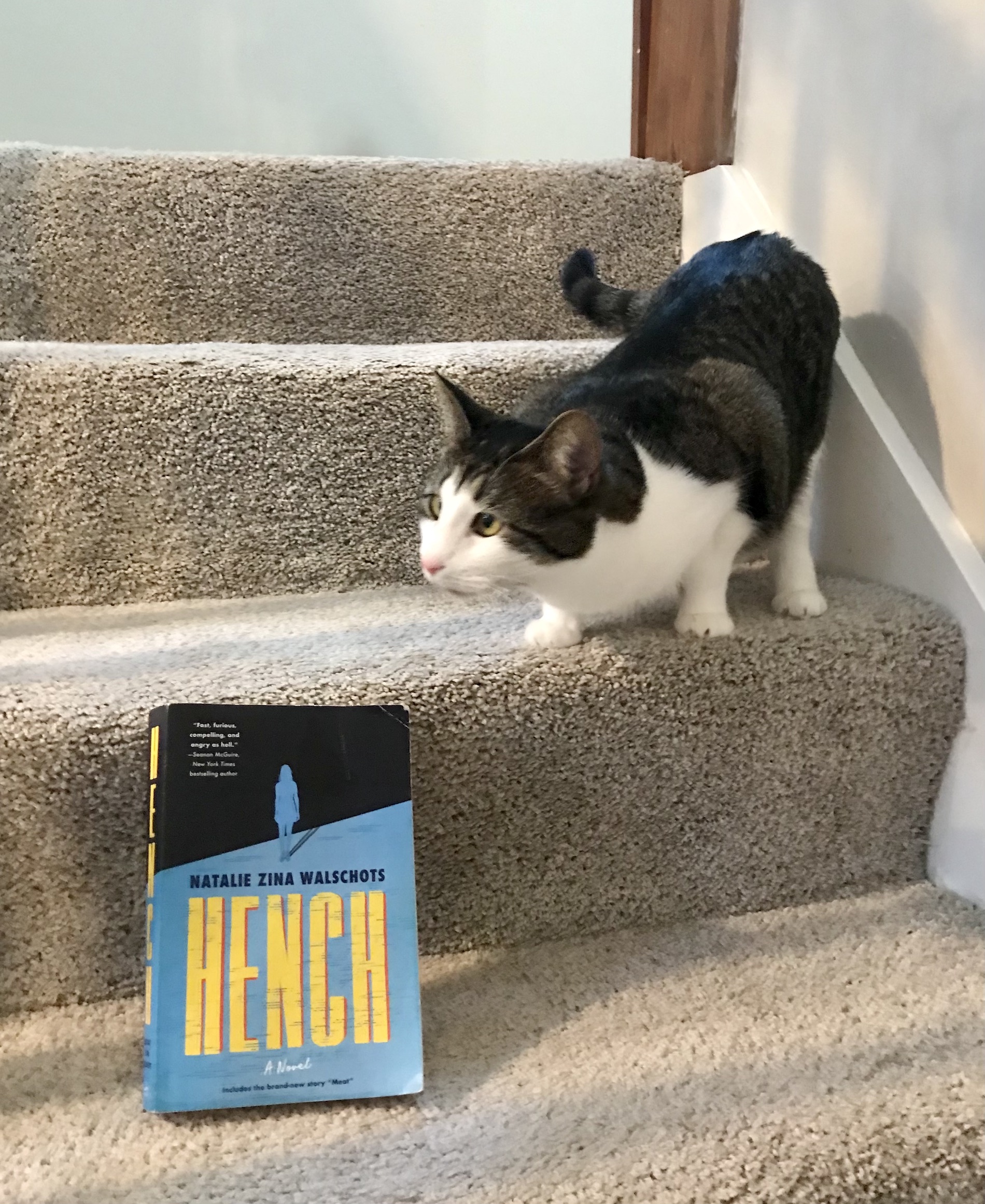 Hench by Natalie Zina Walschots – Bothari43 Book Review – Cannonball ...