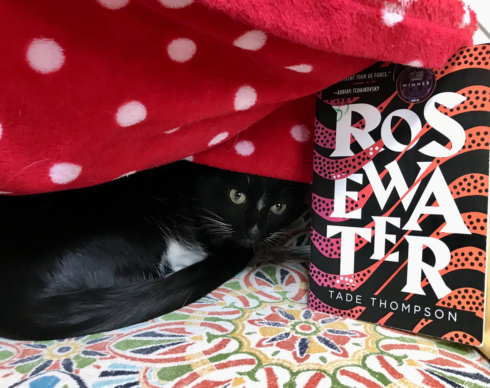 Rosewater by Tade Thompson – Bothari43 Book Review – Cannonball Read 18