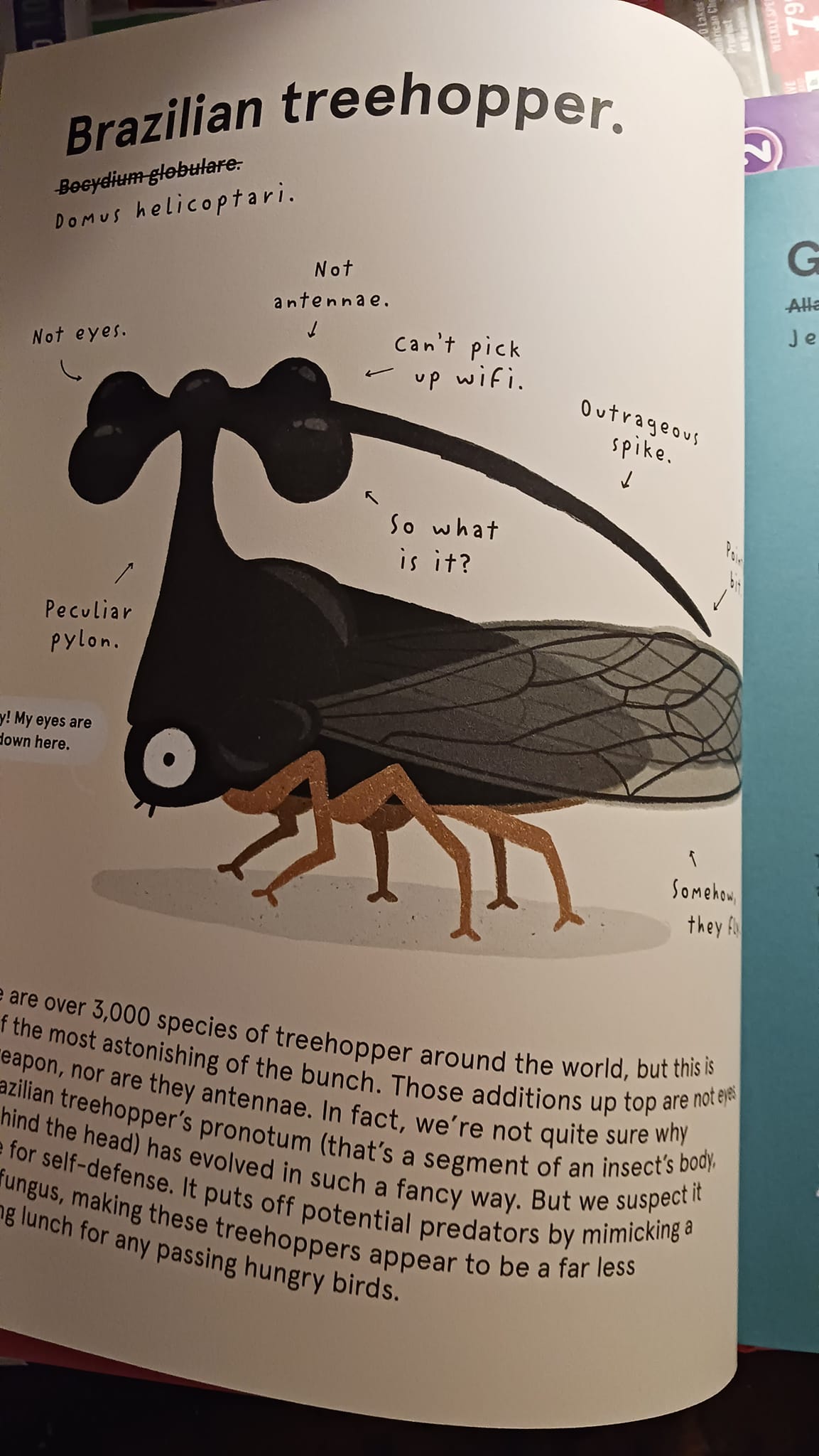 The World’s Most (Marvelous) Ridiculous Animals by Philip Bunting ...