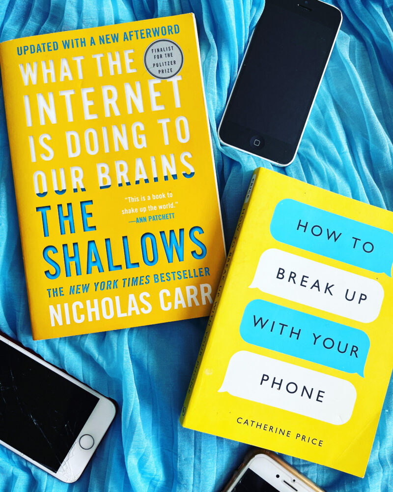 The Shallows: What The Internet Is Doing To Our Brains by Nicholas Carr ...