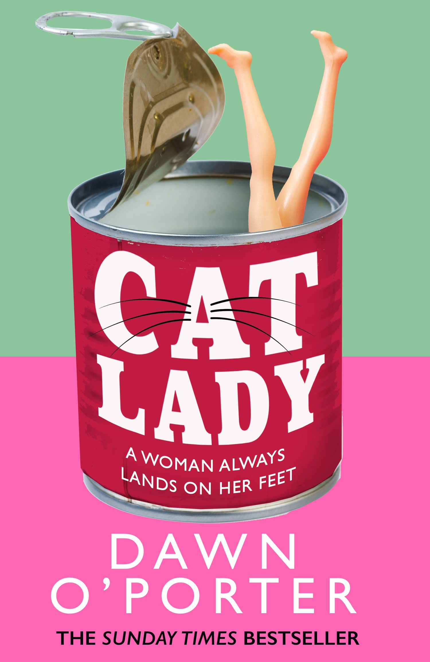 Cat Lady by Dawn O’Porter – narfna Book Review – Cannonball Read 18