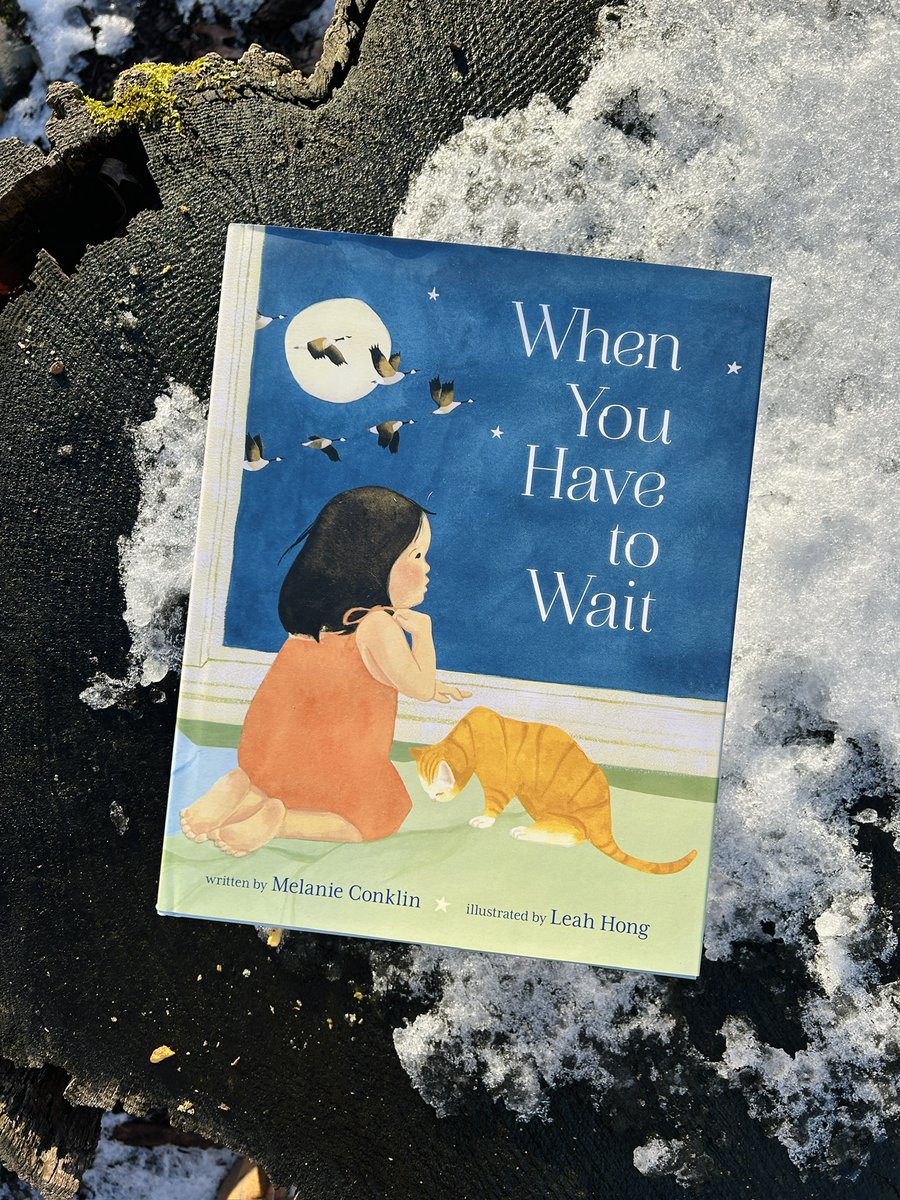 A Perfect Mistake and When You Have to Wait by Melanie Conklin ...