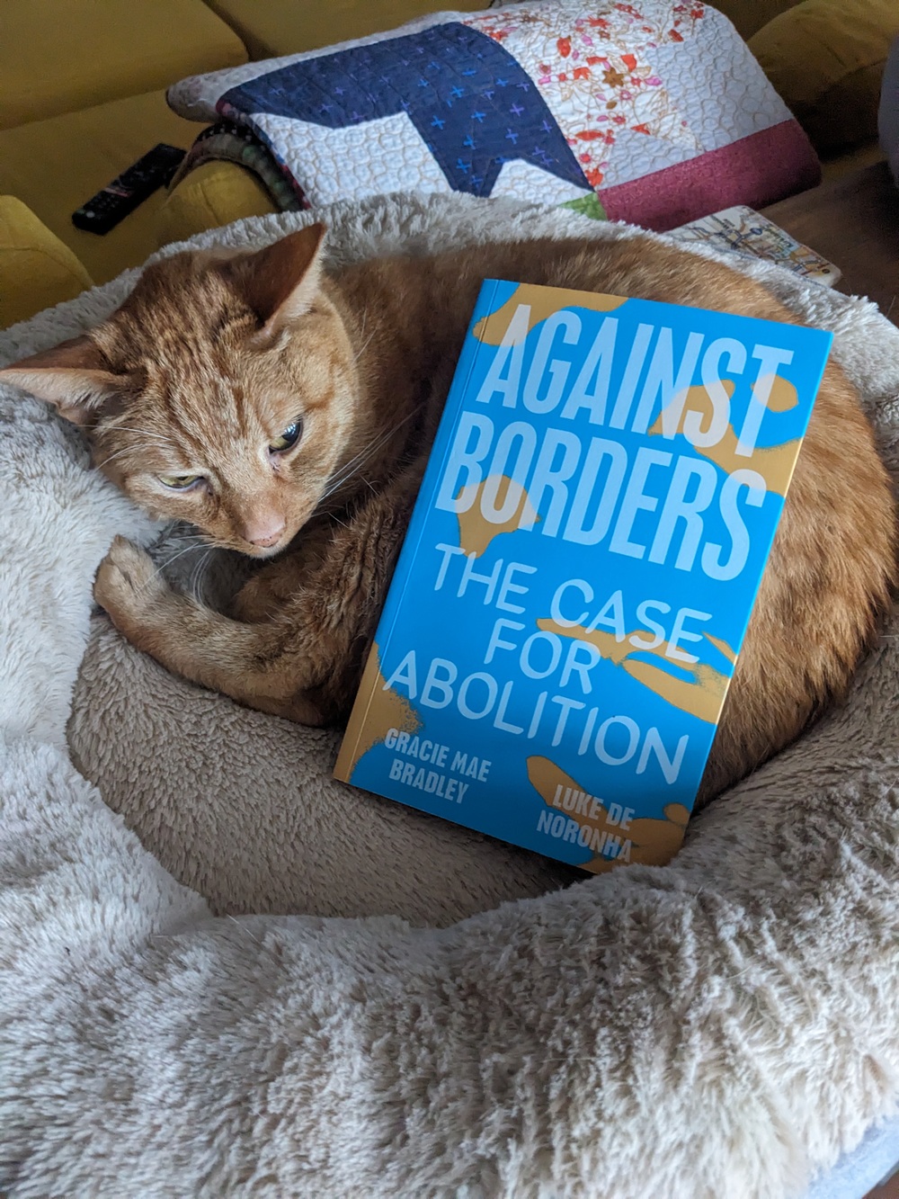 Against Borders: The Case for Abolition by Gracie Mae Bradley and Luke ...