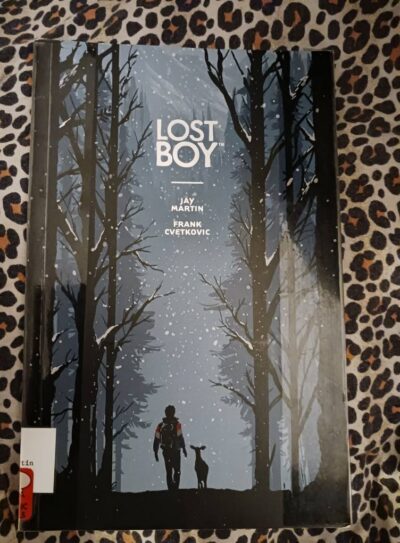 Lost Boy by Jay Martin – BlackRaven Book Review – Cannonball Read 17