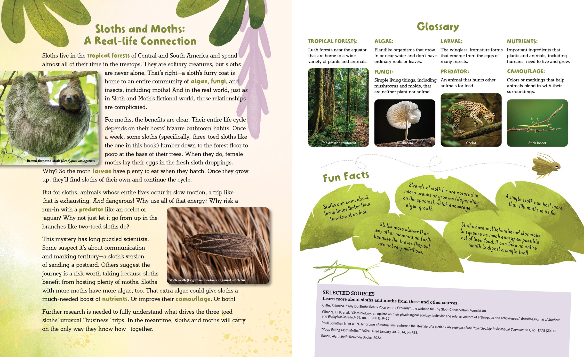 Sloth & Moth: A Better-Together Friendship by Helen Taylor – BlackRaven ...