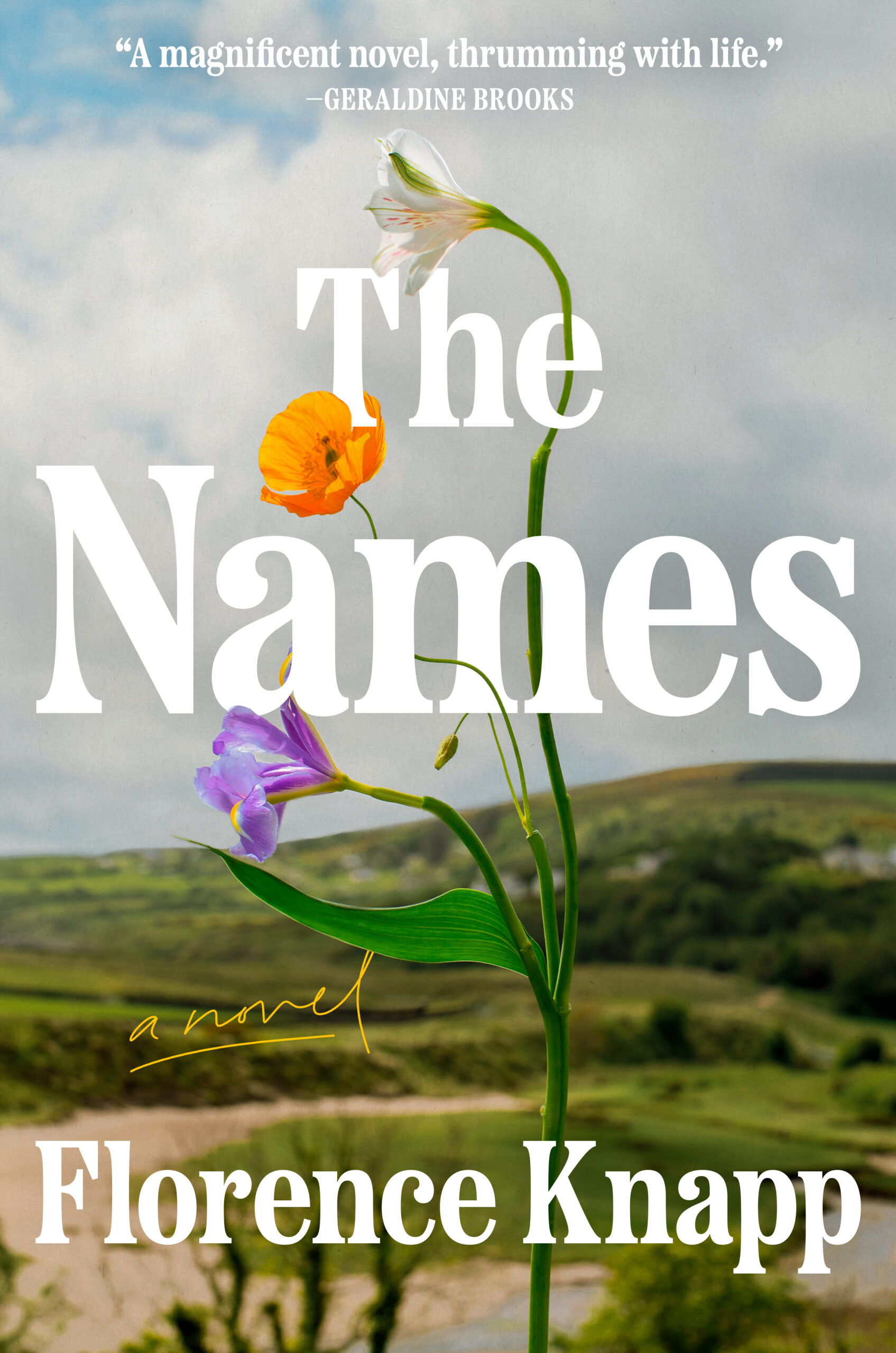 The Names by Florence Knapp – narfna Book Review – Cannonball Read 18