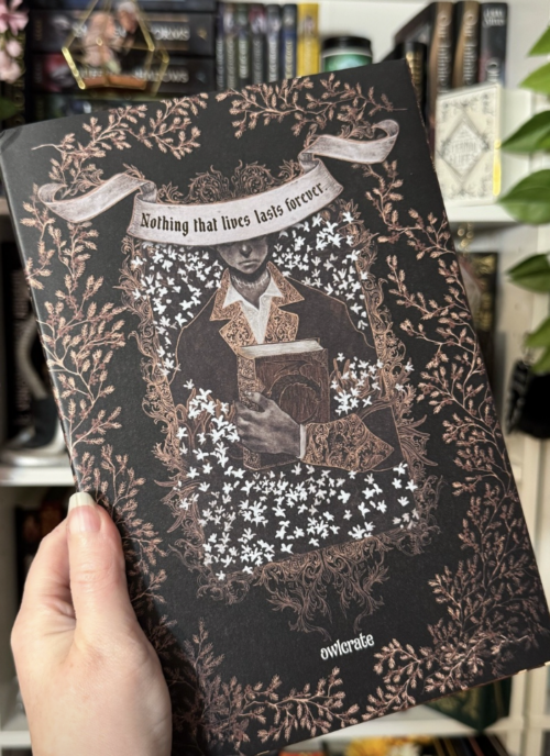 The Everlasting by Alix E Harrow – NTE Book Review – Cannonball Read 18